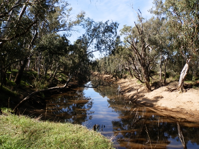 Campaspe River Walk, Echuca - Walking Maps