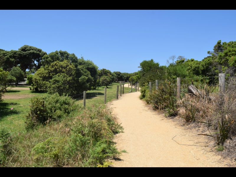 Anglesea Heath Walk, Point Addis to Anglesea - Walking Maps