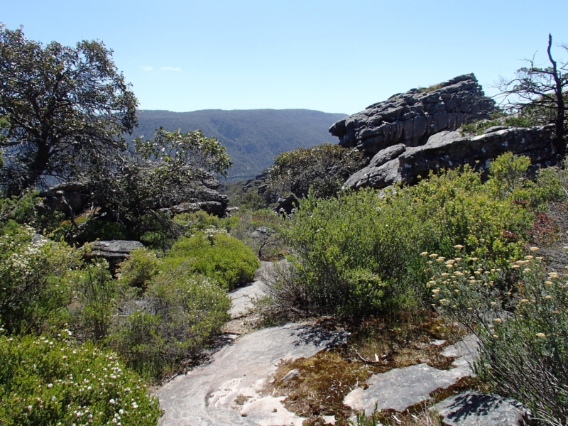 The Grampians Pinnacle walk - Walking Maps