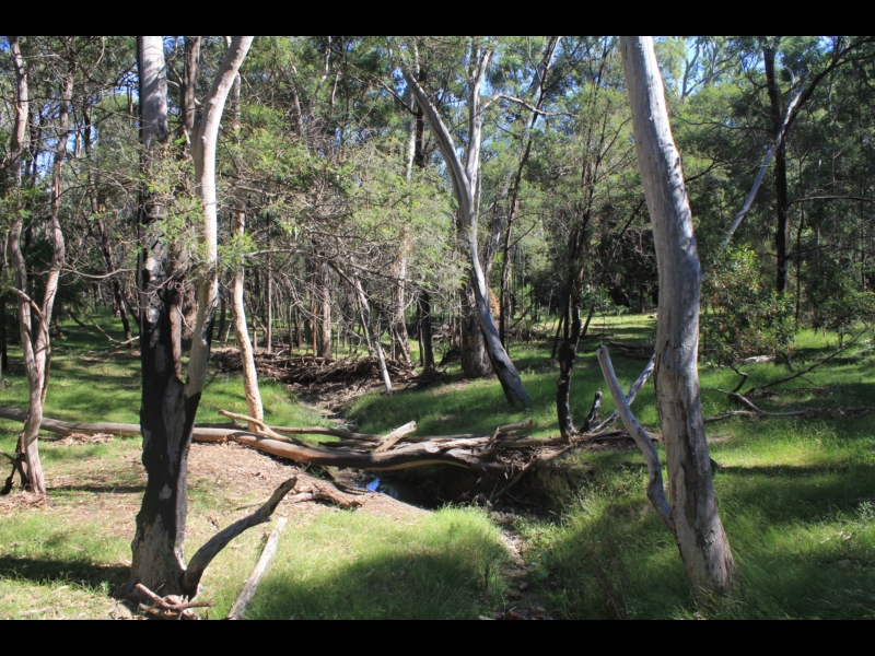 Gresswell Forest Nature Reserve - Walking Maps