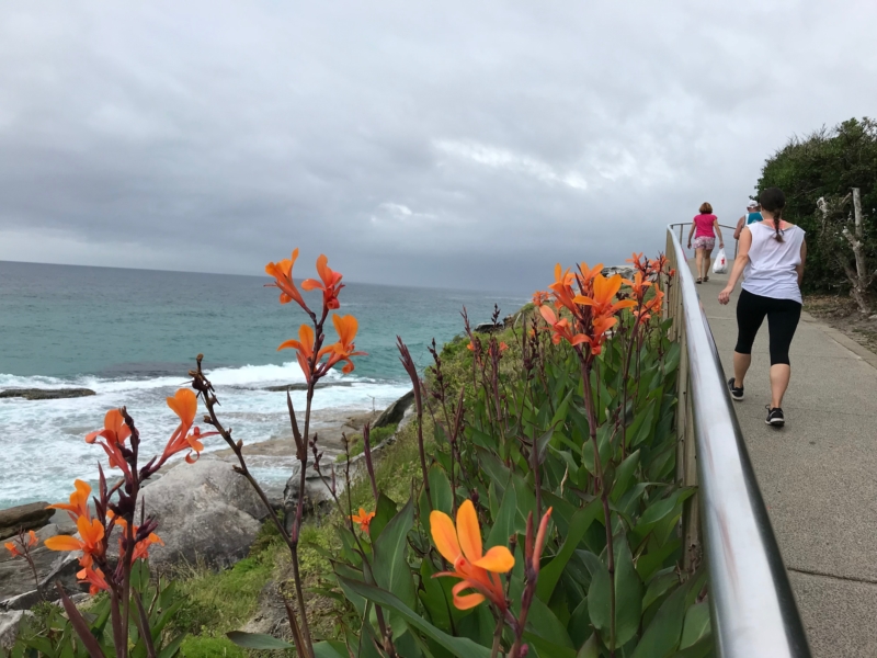 Bondi to Coogee Coastal Walk - Walking Maps