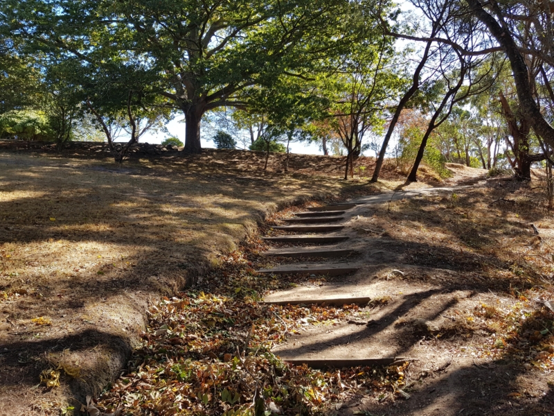 Arthurs Seat Walk - Walking Maps