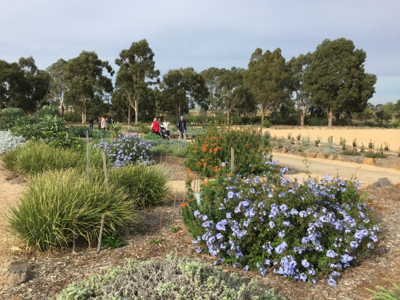 Melton Botanic Garden walk - Walking Maps