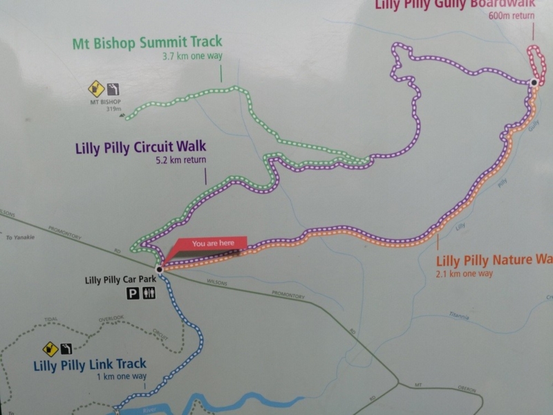 Lilly Pilly Gully loop walk, Tidal River, Wilson's Promontory - Walking ...