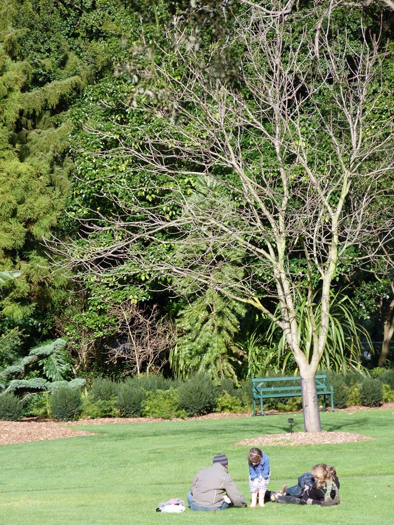Geelong Botanic Gardens walk, Eastern Park - Walking Maps