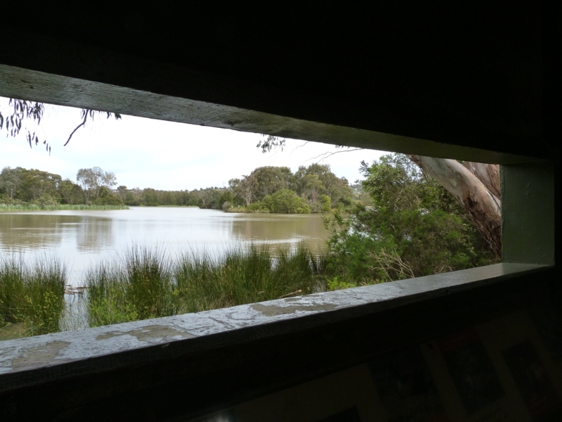 Jells Park Walk - Walking Maps