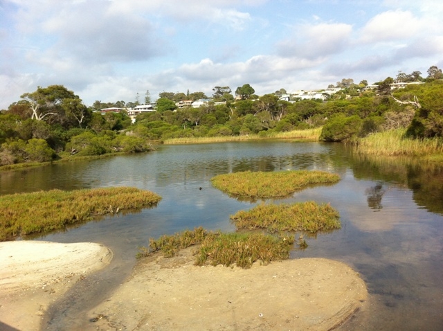 Mallacoota walk - Walking Maps
