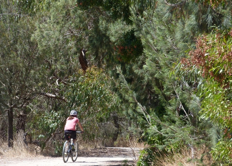Braeside Park Walk - Walking Maps