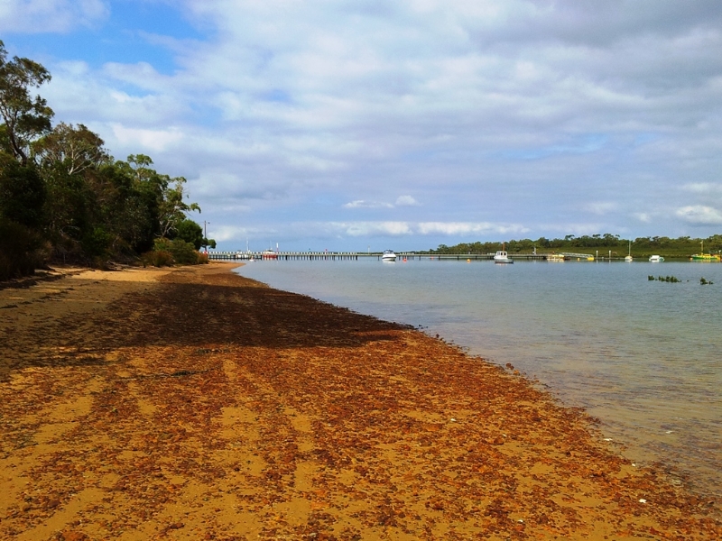 Warneet Coastal Track - Walking Maps