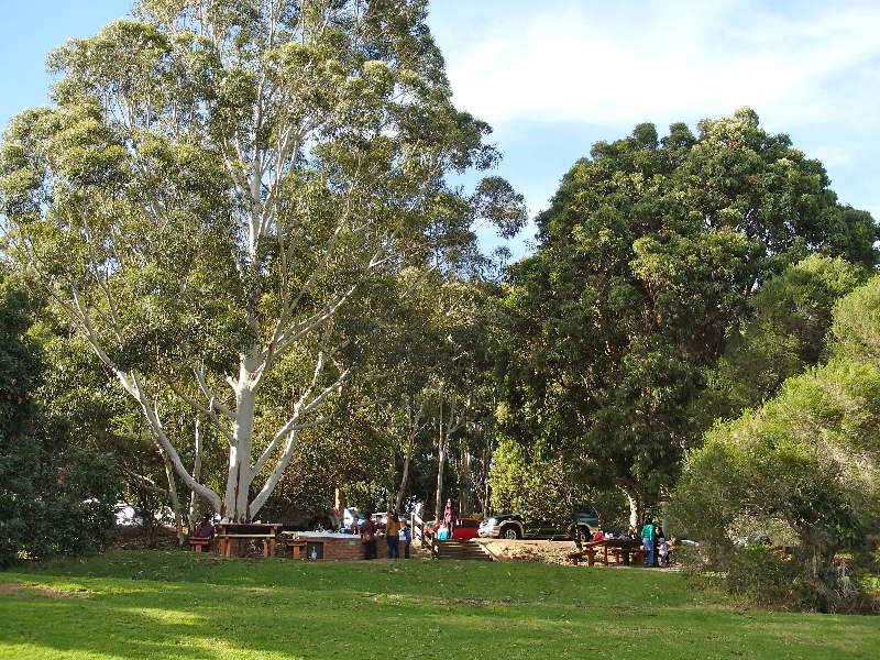 Lysterfield Park - Walking Maps