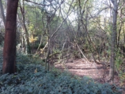 Lysterfield Park - Walking Maps