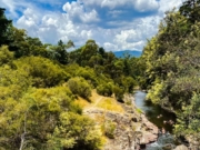 Anglesea Heath Walk, Point Addis to Anglesea - Walking Maps